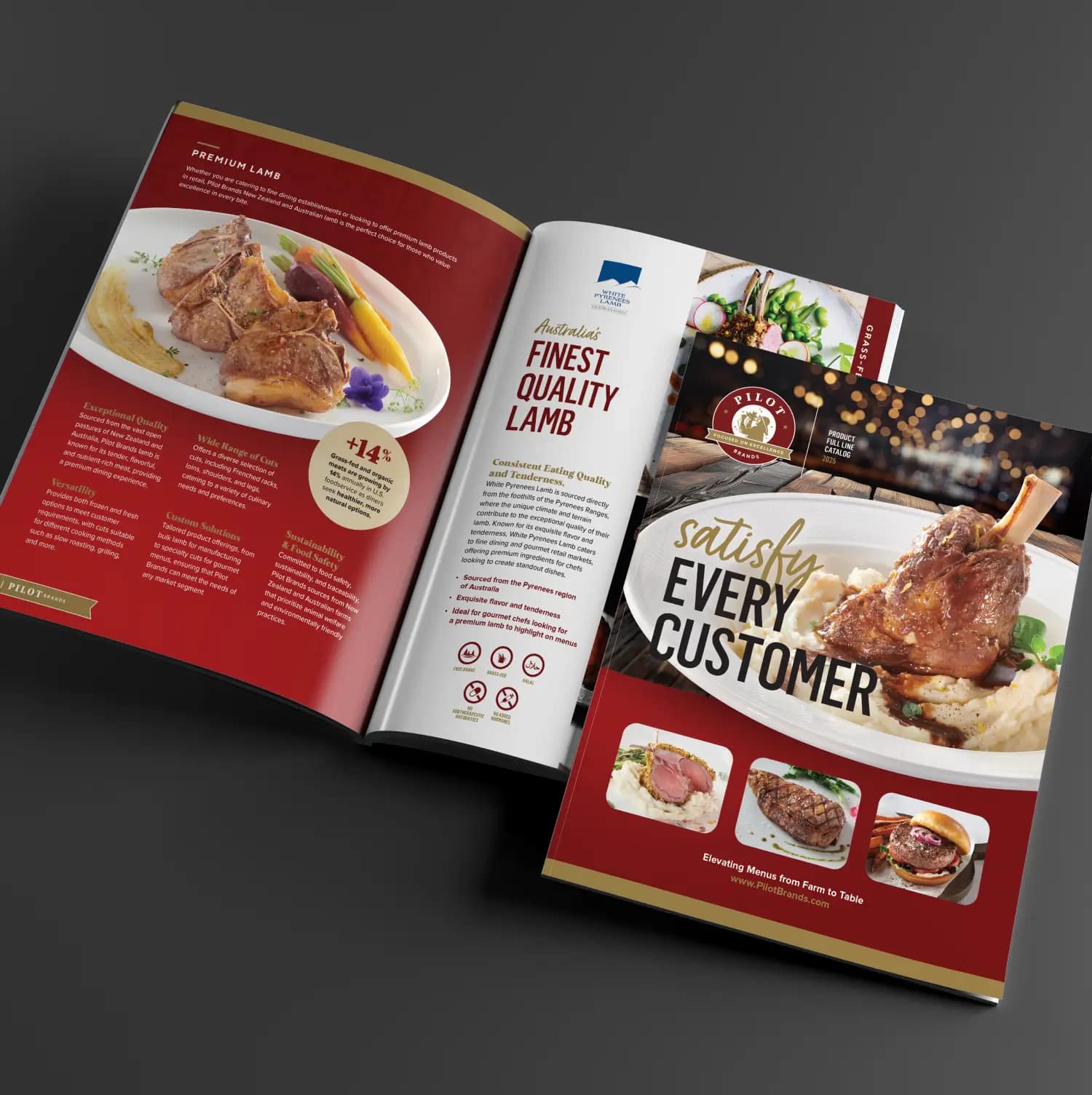 Pilot Brands Brochure - Taste Specific